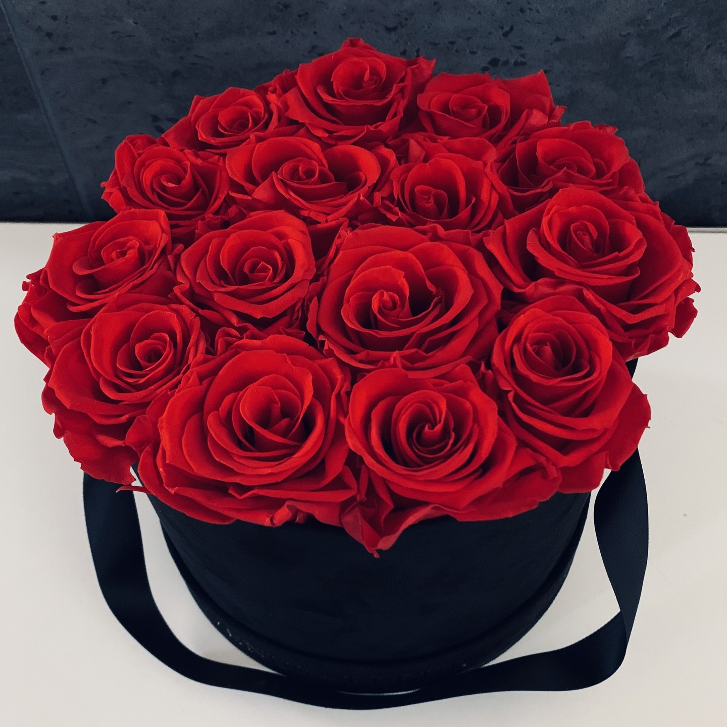 Home | Leanne Phillips